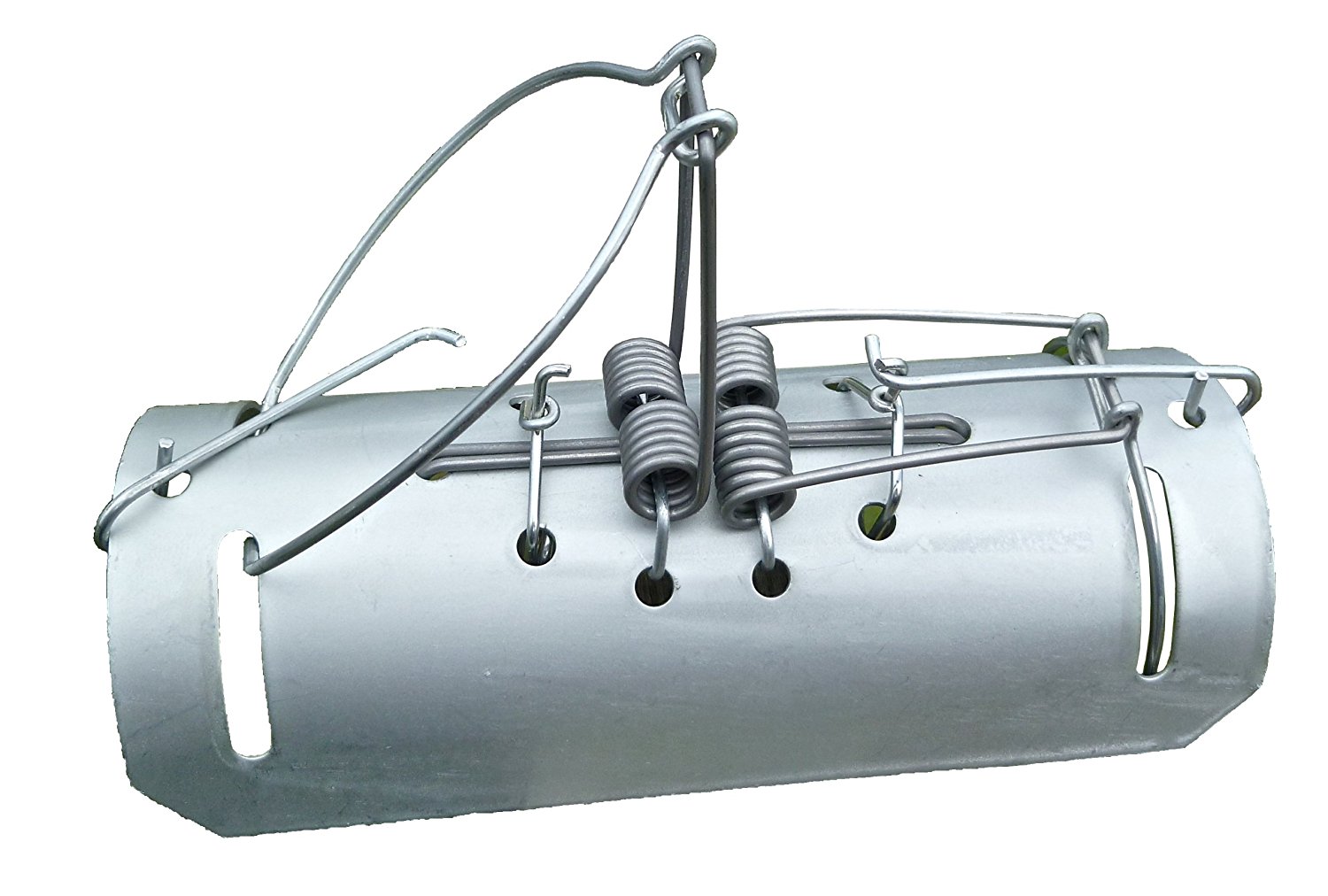 Best Mole Traps Reviews UK | Catch and Remove Moles